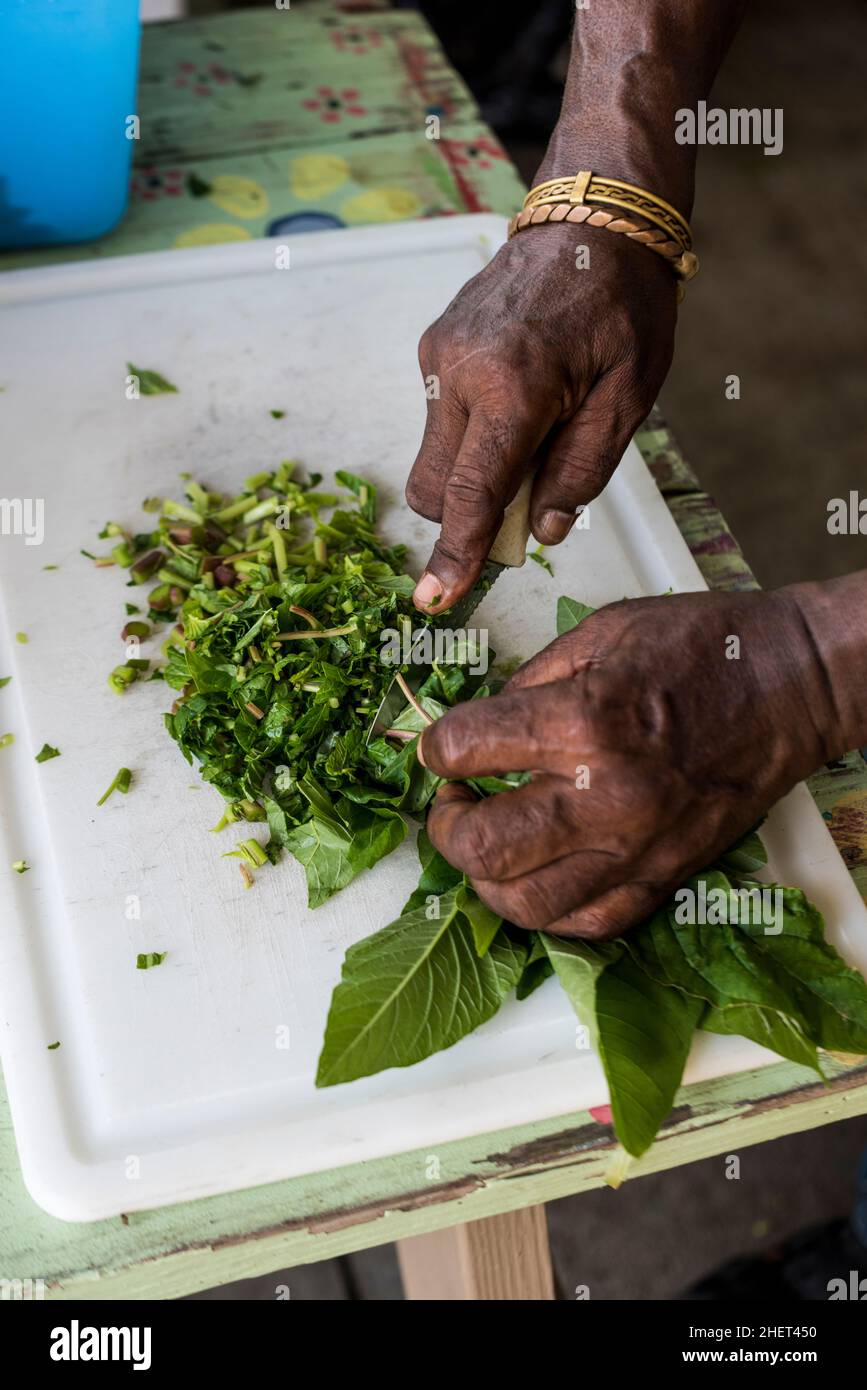 Urban farmer chopping harvested Callaloo Stock Photo - Alamy