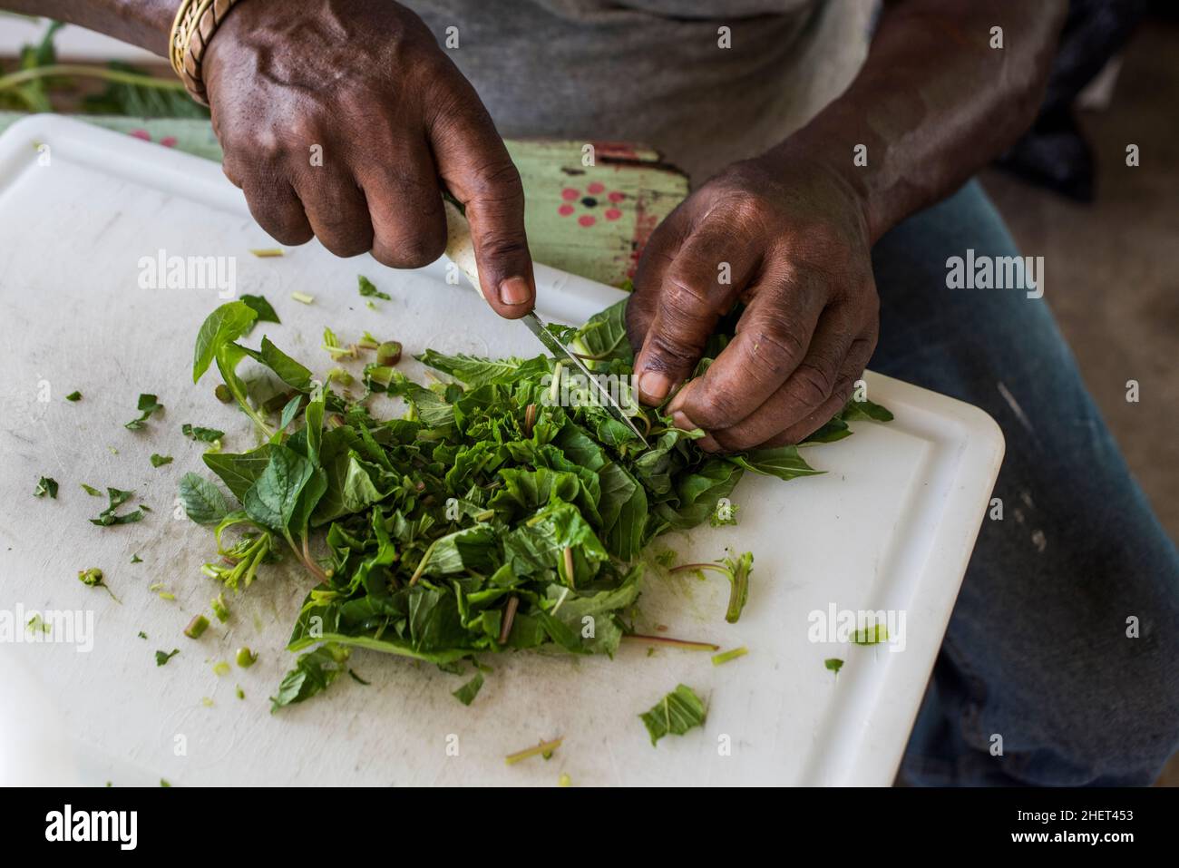 Urban farmer chopping harvested Callaloo Stock Photo - Alamy
