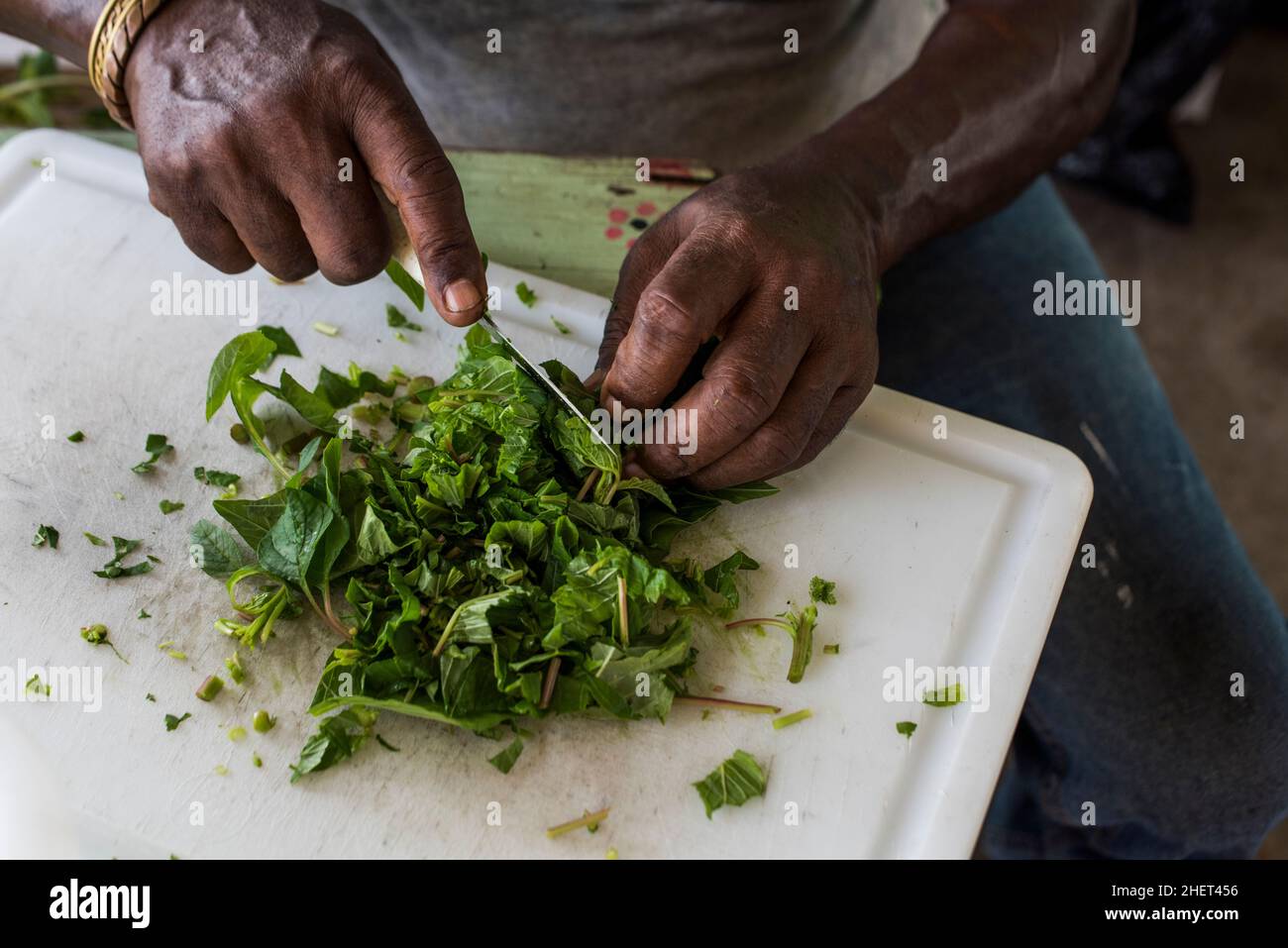 Urban farmer chopping harvested Callaloo Stock Photo - Alamy