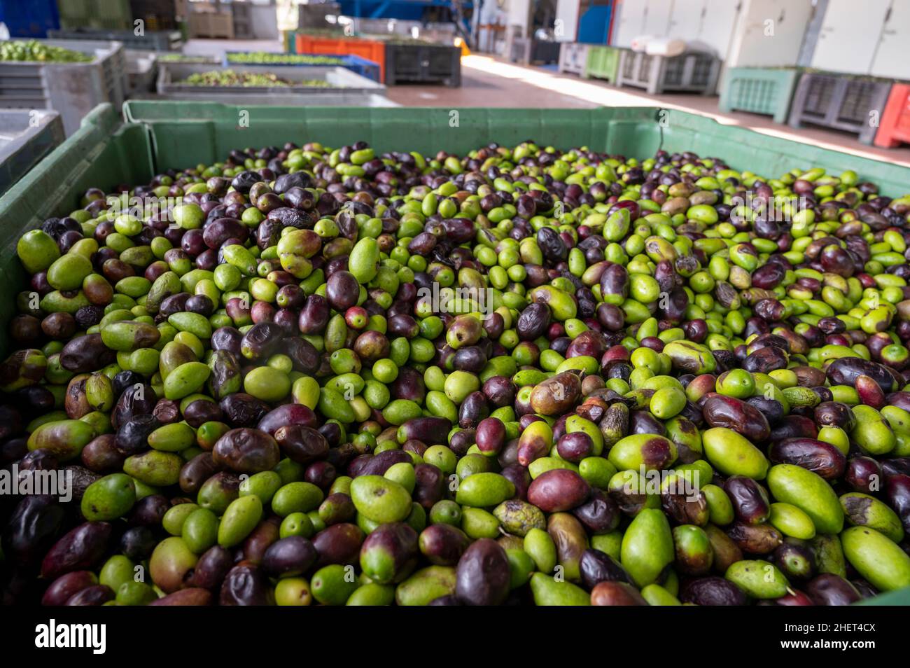 Olive oil mill tuscany hi-res stock photography and images - Alamy