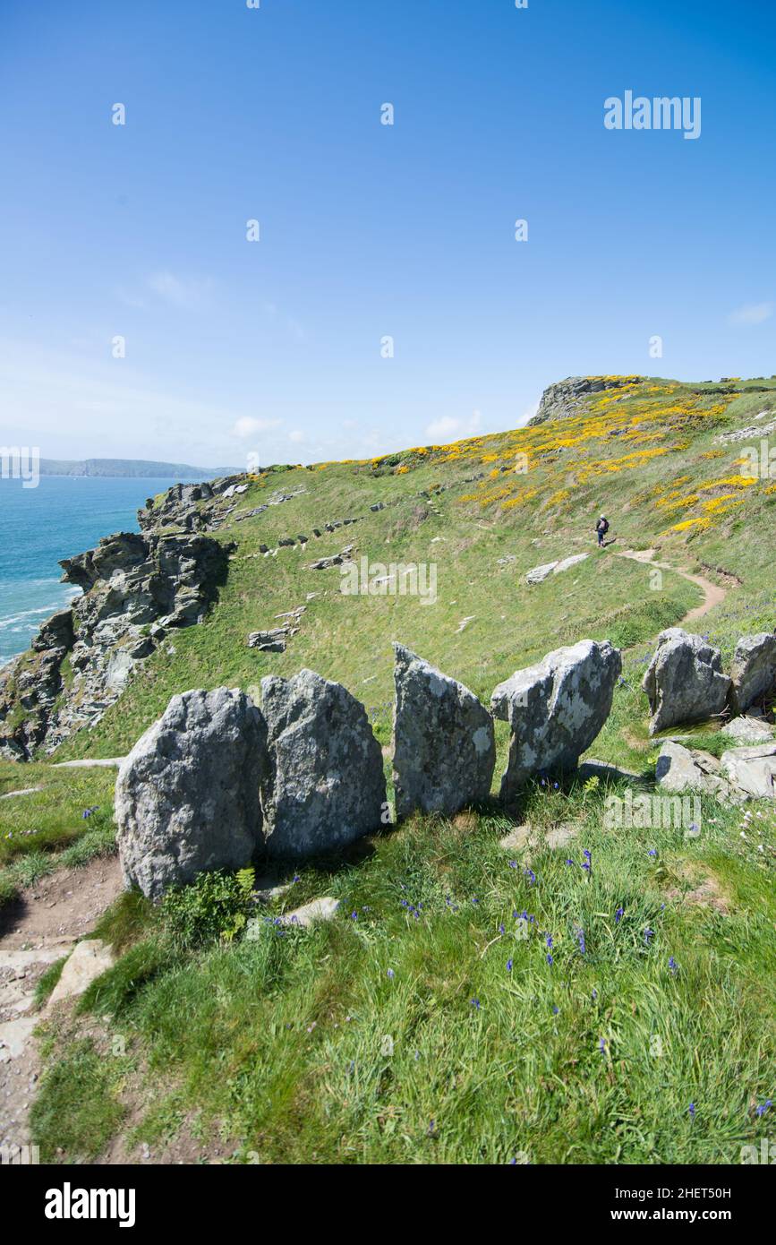 UK, England, Devonshire. Neolithic boundary stones at Prawle Point ...