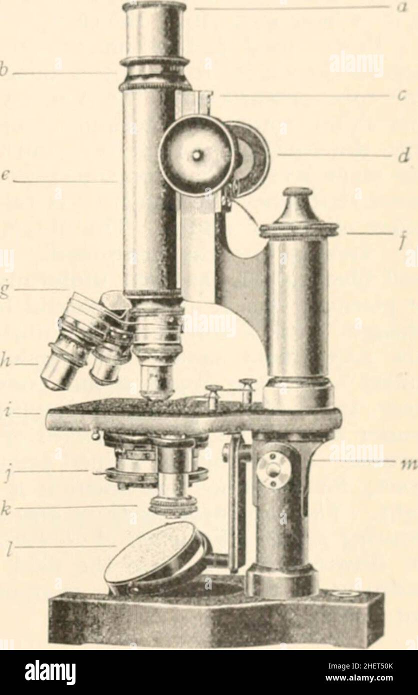 Pathologic hi-res stock photography and images - Alamy