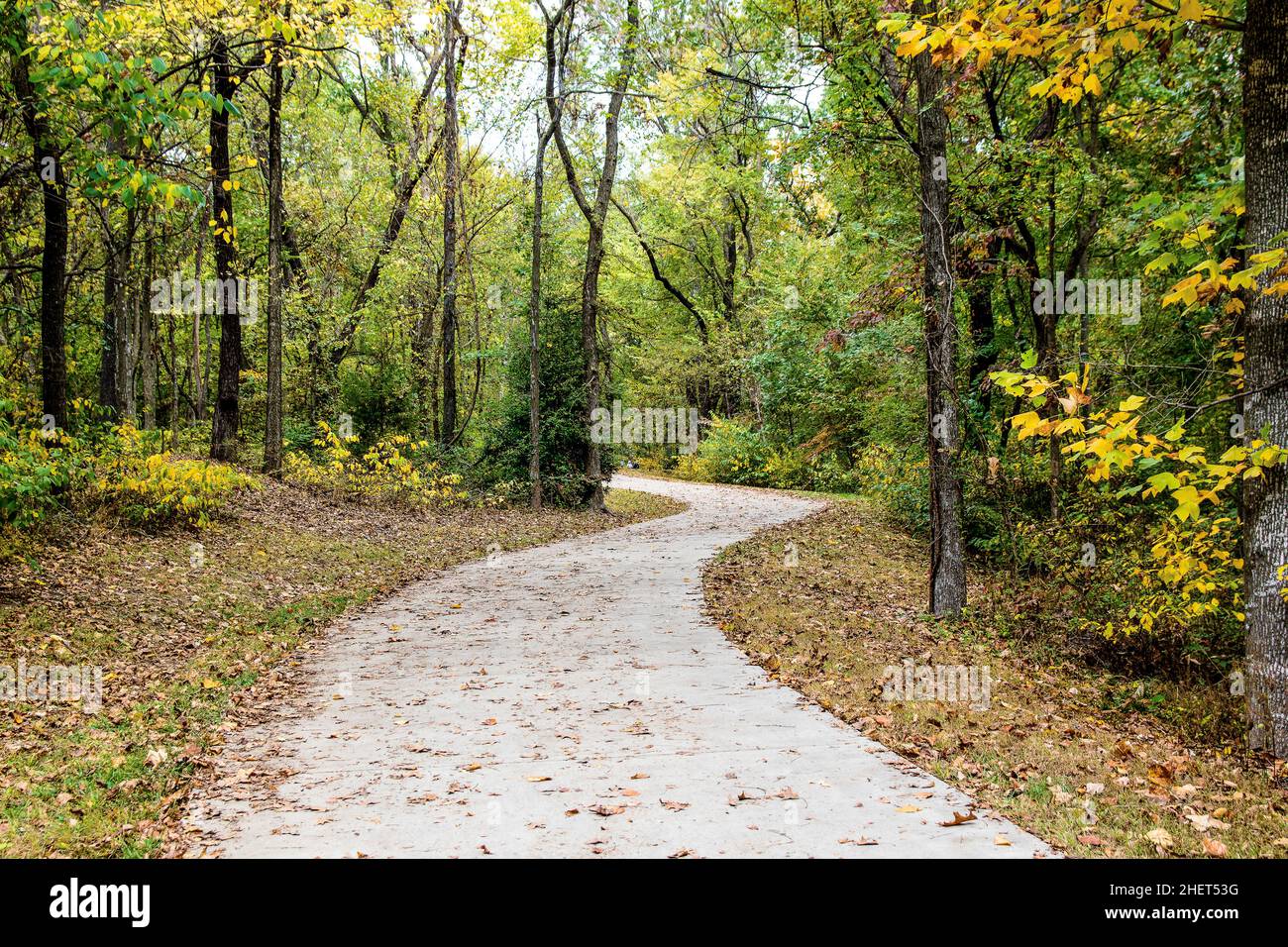 A winding path through a forest in the autumn season with fall colors ...