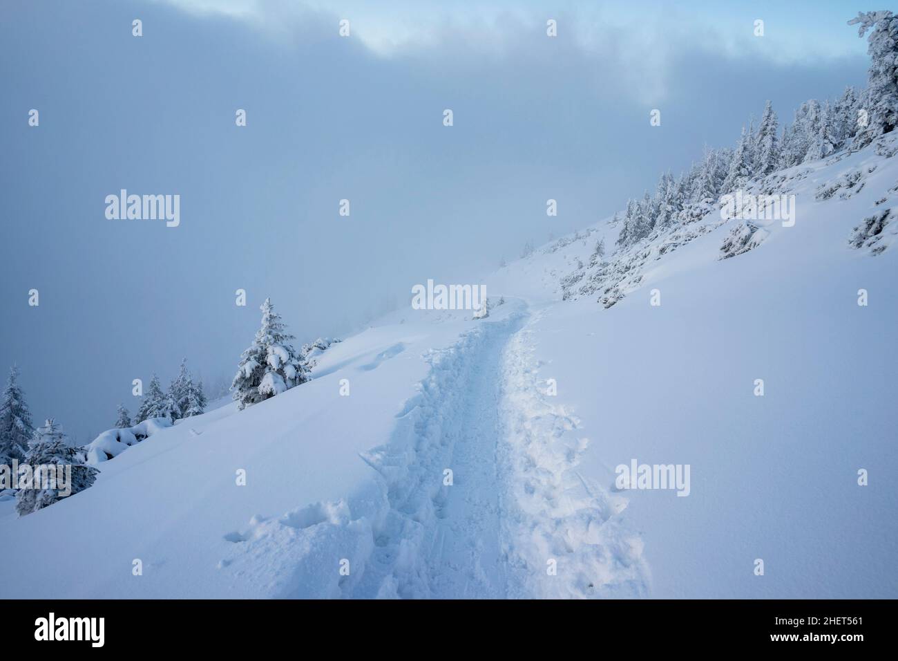 Tatra Mountains in a winter landscape. Karczmisko area Stock Photo - Alamy