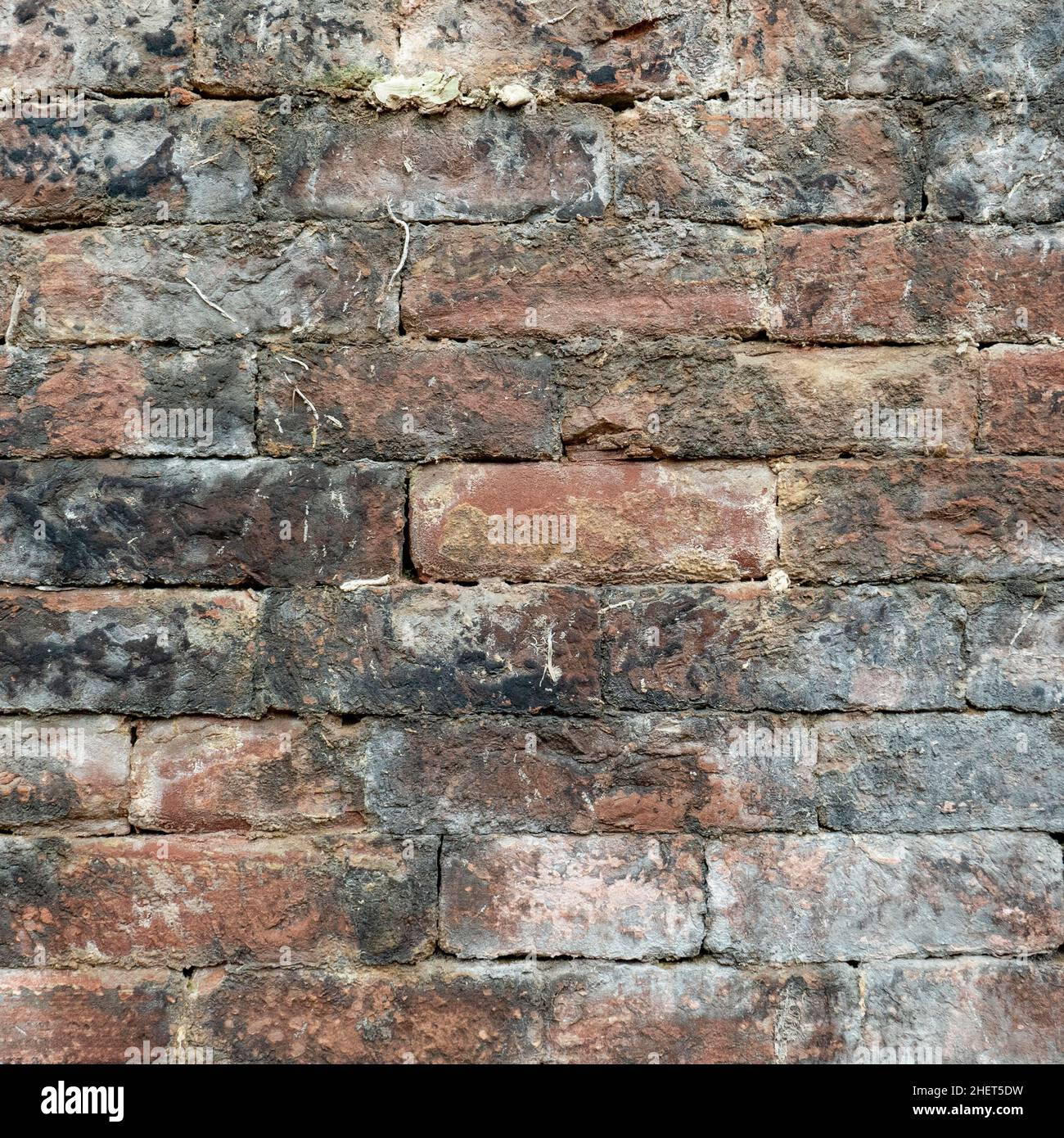 Wet brick hi-res stock photography and images - Alamy