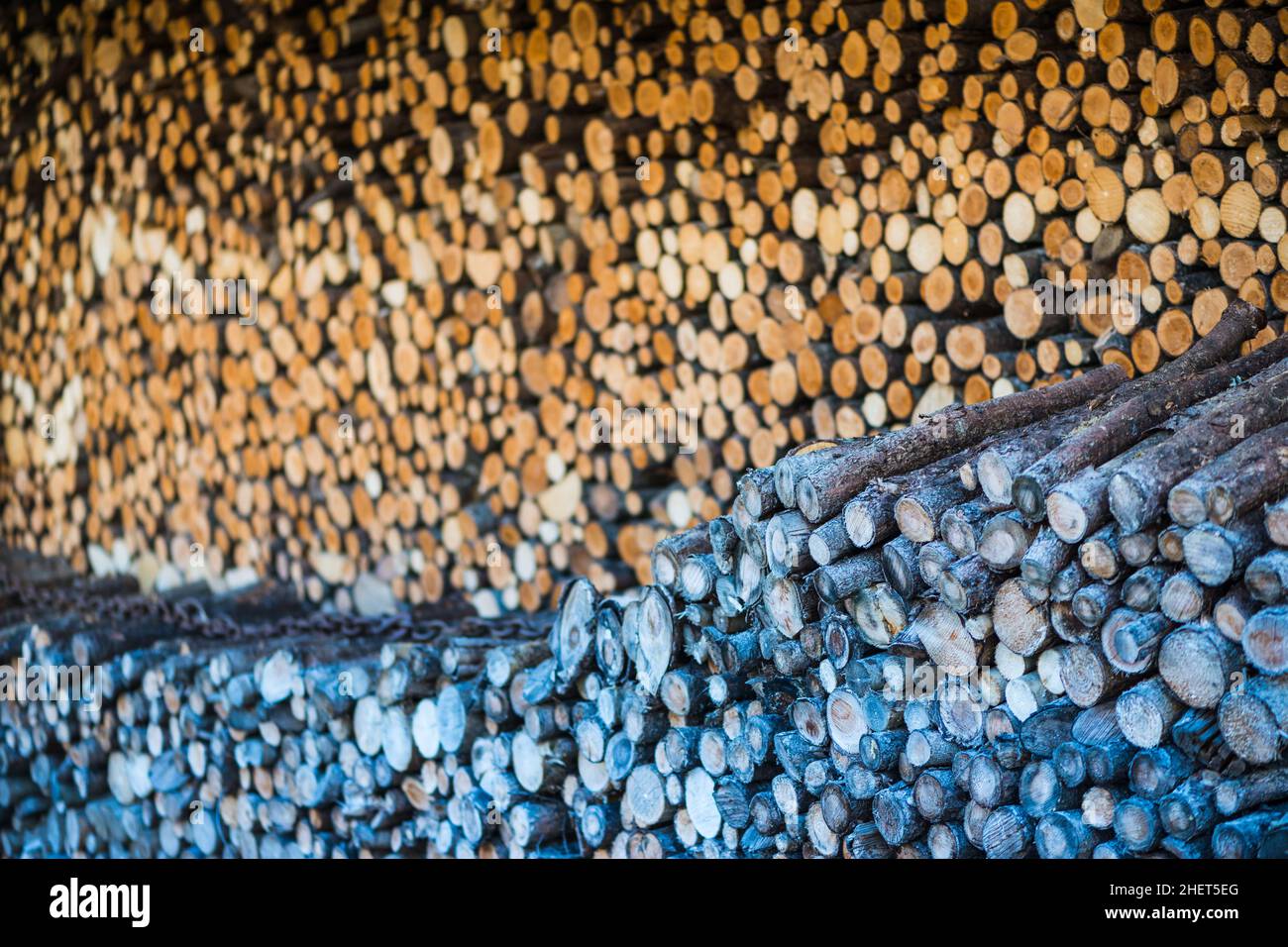 stack of round branch wood pieces for heating background Stock Photo ...
