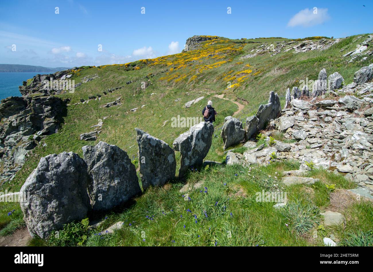 UK, England, Devonshire. Neolithic boundary stones at Prawle Point ...