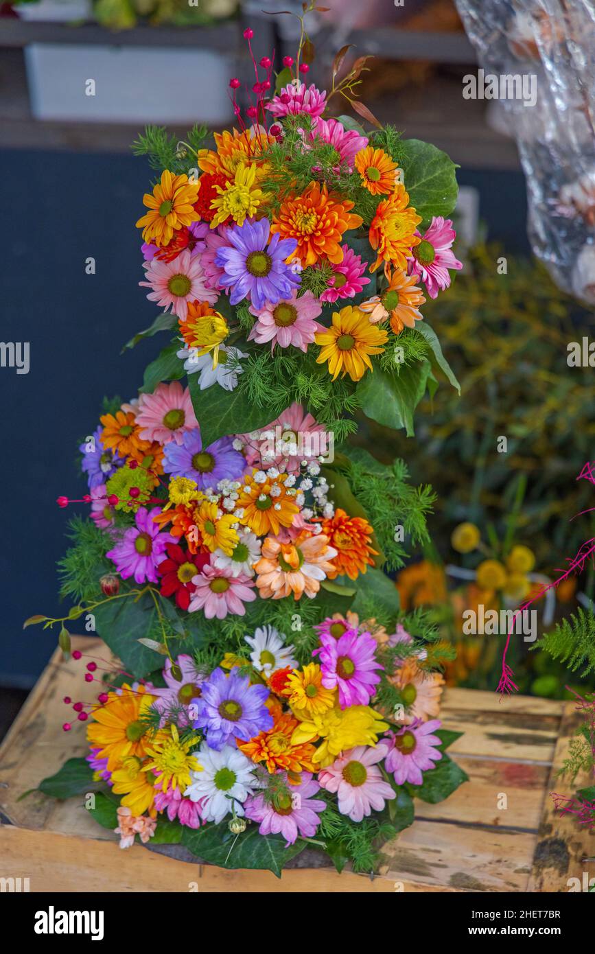 Spiral arrangement of petals hi-res stock photography and images - Alamy
