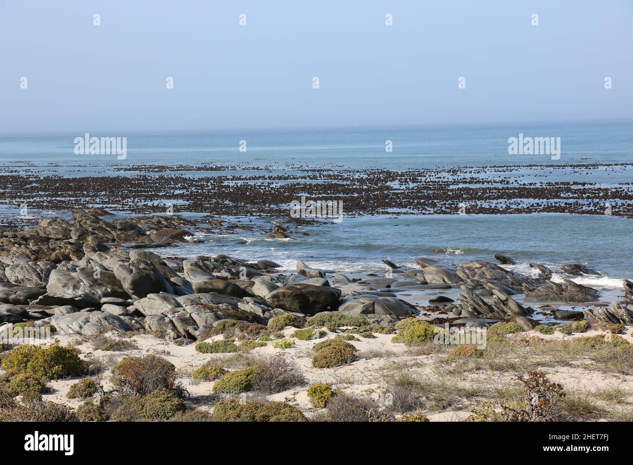 Namaqua National Park - Coastal Section Stock Photo - Alamy