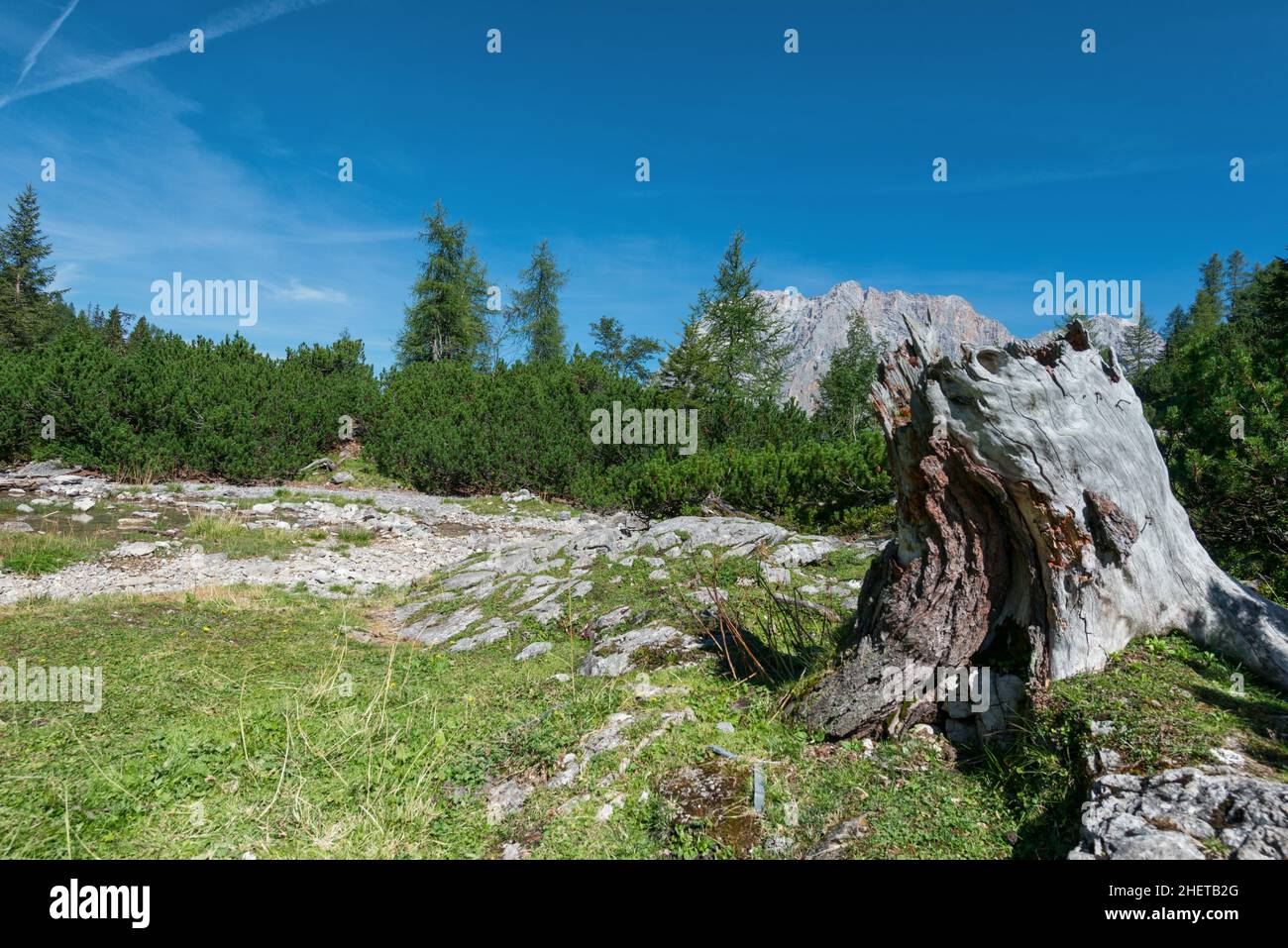 Stump mountain hi-res stock photography and images - Alamy