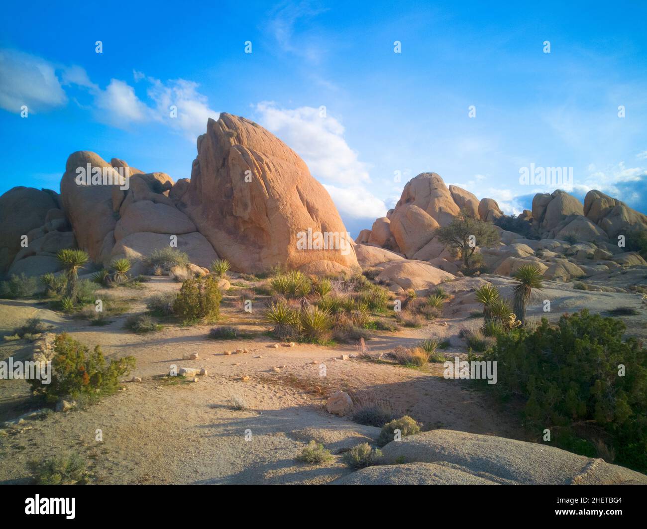 rock formation in Joshua tree national park in sunset light Stock Photo ...