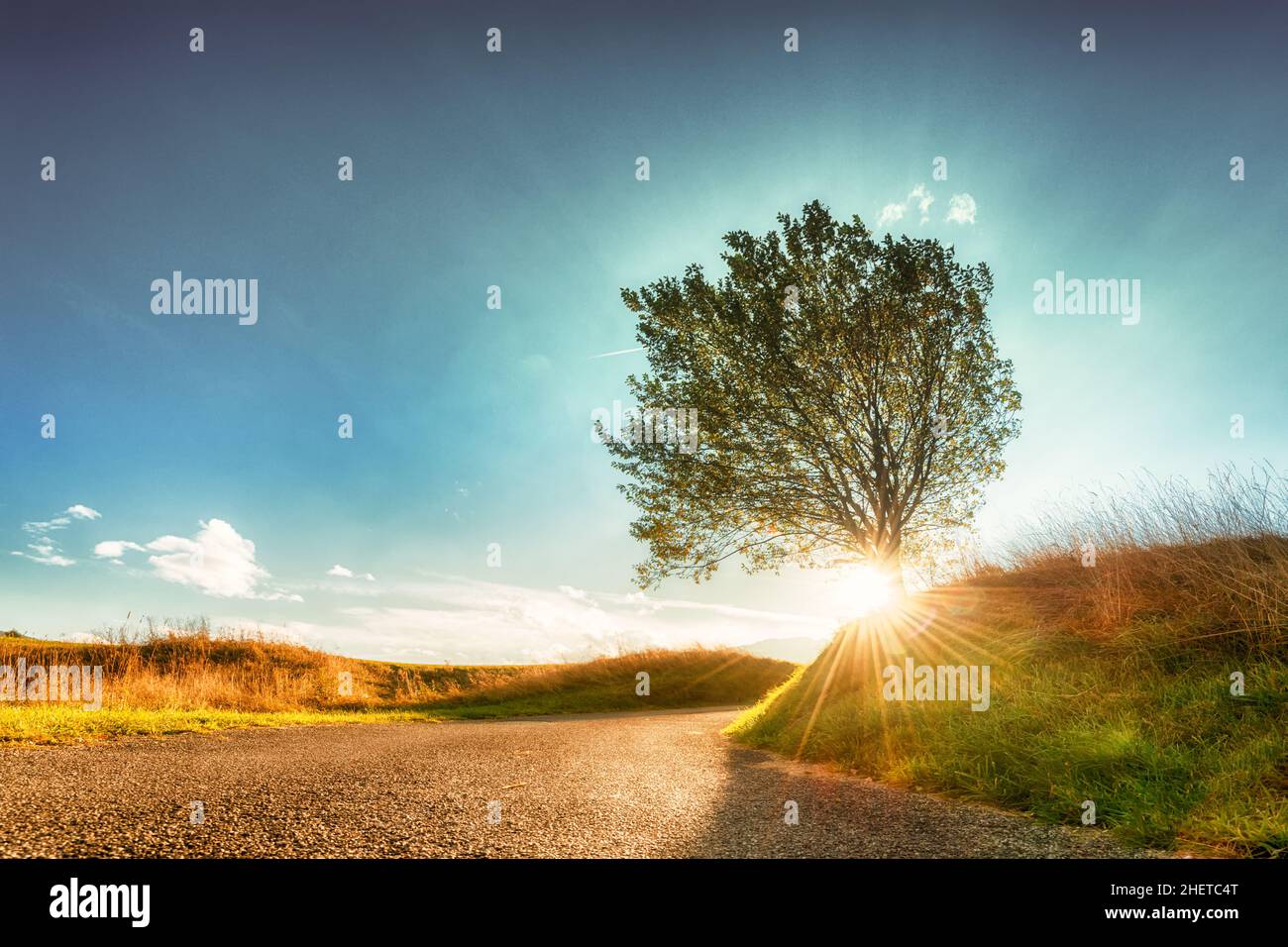 Sun shining on an empty road hi-res stock photography and images - Alamy