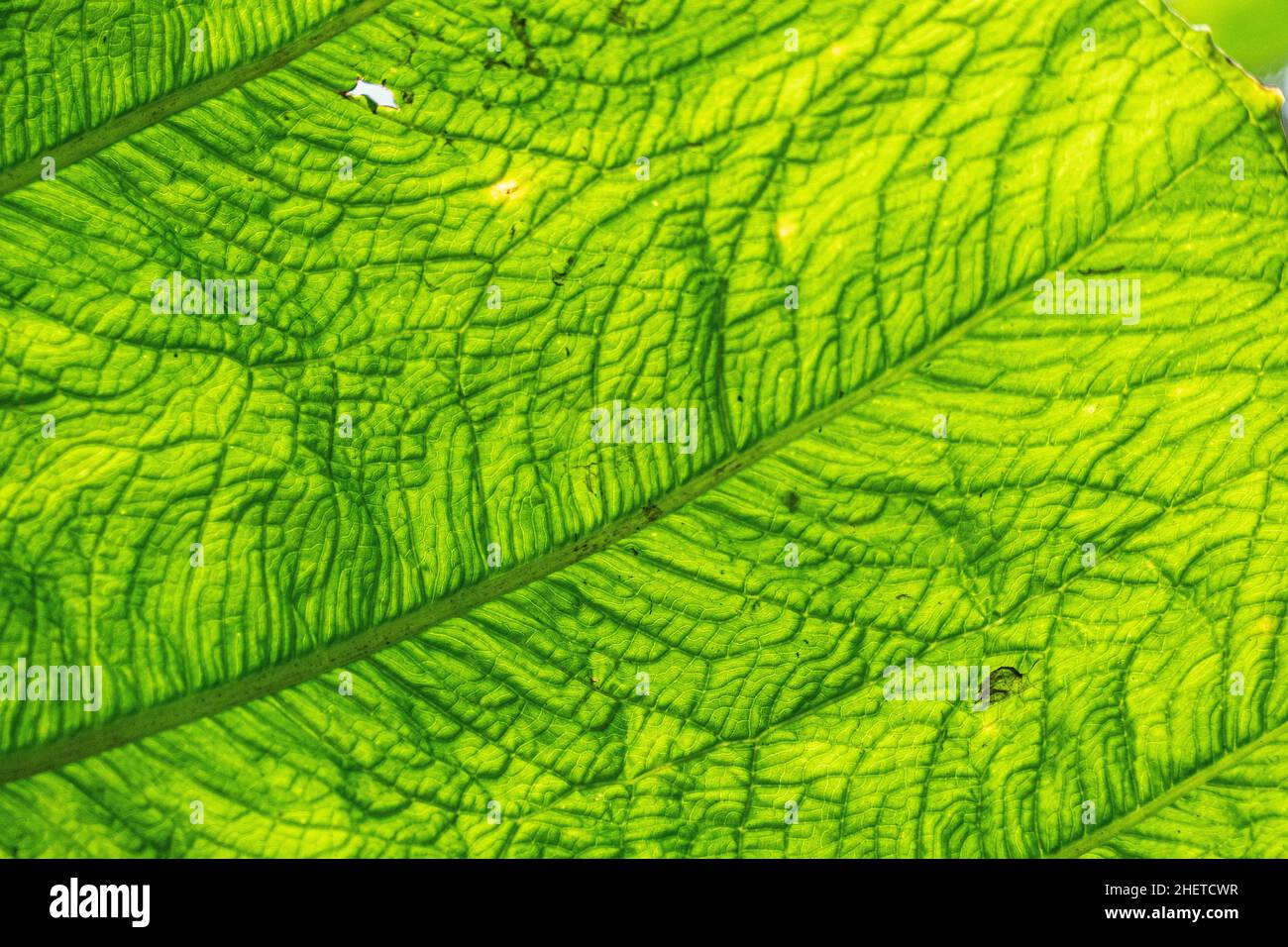 Reserva santa elina hi-res stock photography and images - Alamy