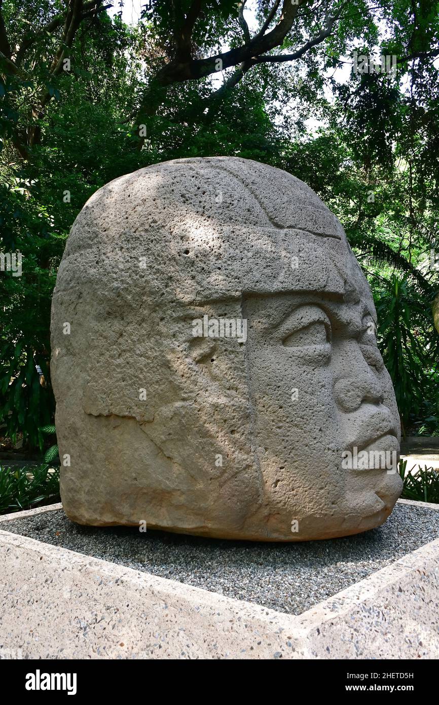 Giant stone head, Olmec sculpture, La Venta Museum-Park, pre-Columbian ...
