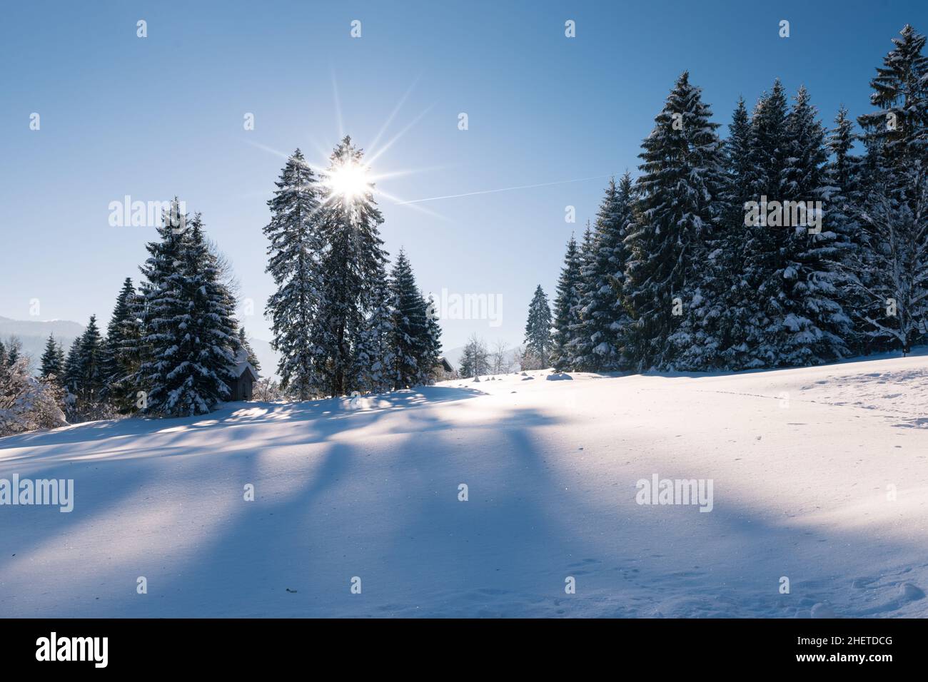 Sun rays shine through tree hi-res stock photography and images - Alamy