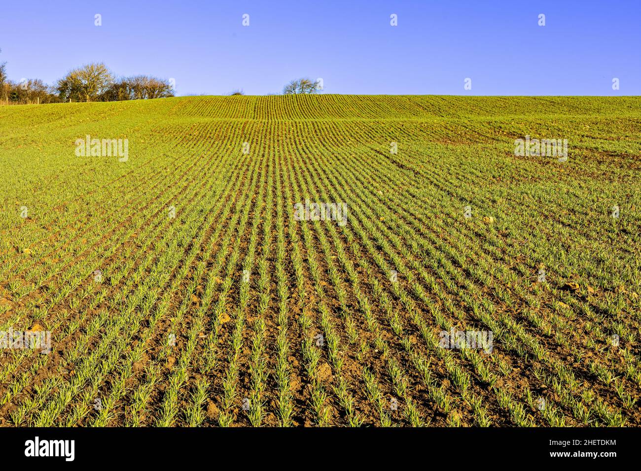 Season farmland hi-res stock photography and images - Alamy