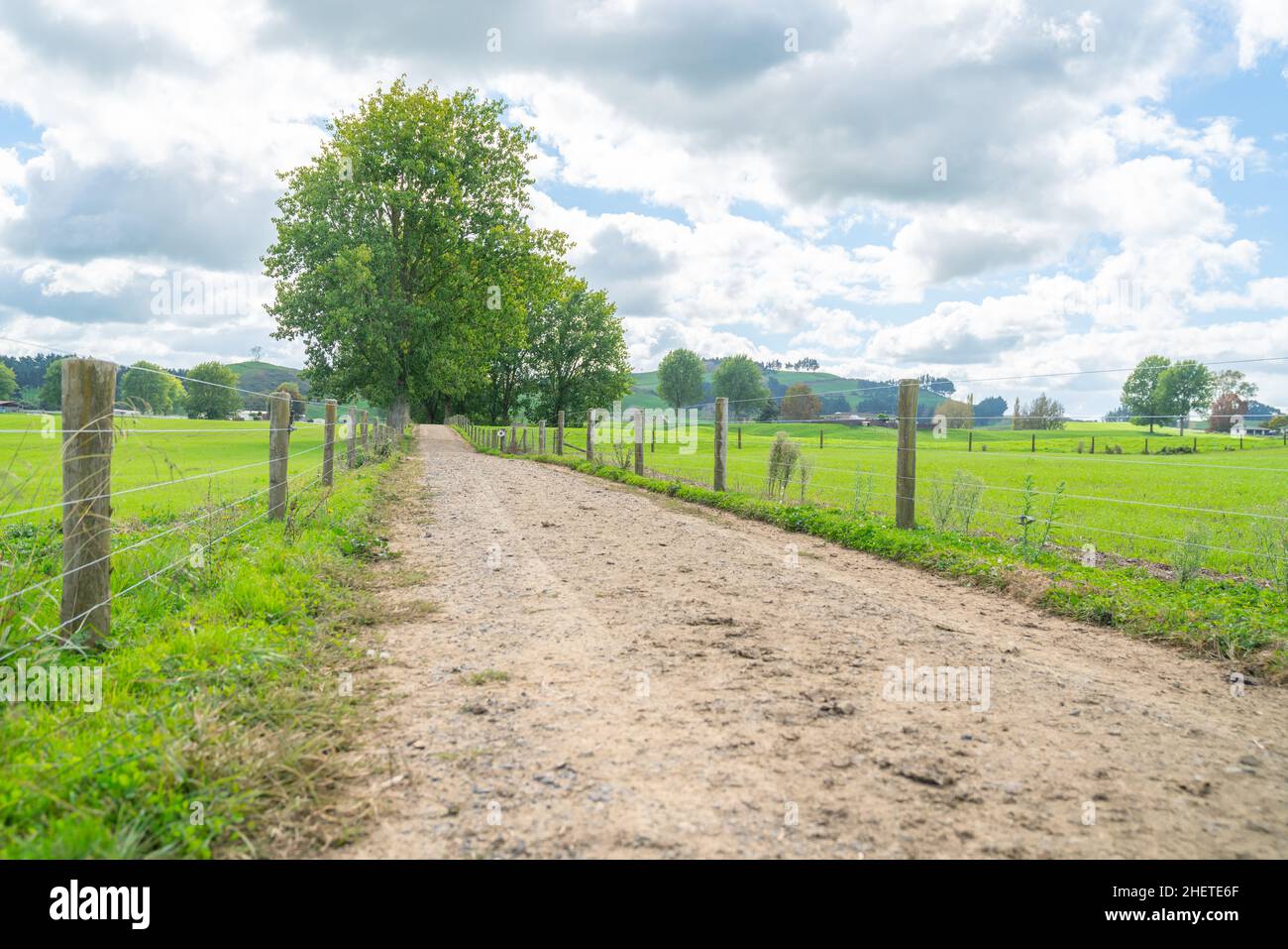 Dirt rural road flanked by post and wire fence and green grass of ...