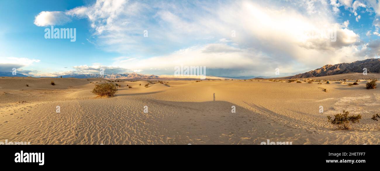 beautiful Mesquite flats in the death valley desert in sunset light ...