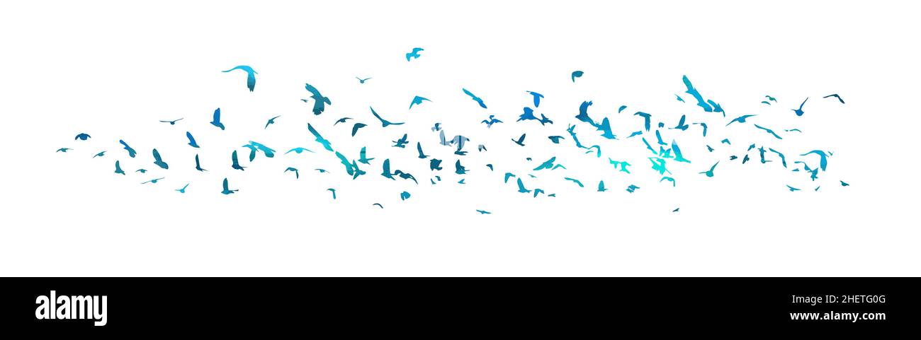 A flock of blue birds. Vector illustration Stock Vector Image & Art - Alamy