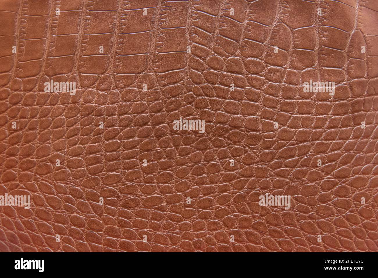 Natural skin texture hi-res stock photography and images - Alamy