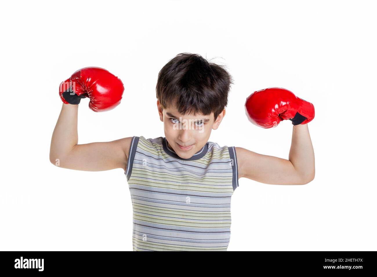 cute handsome little boxer closeup isolated on white Stock Photo - Alamy