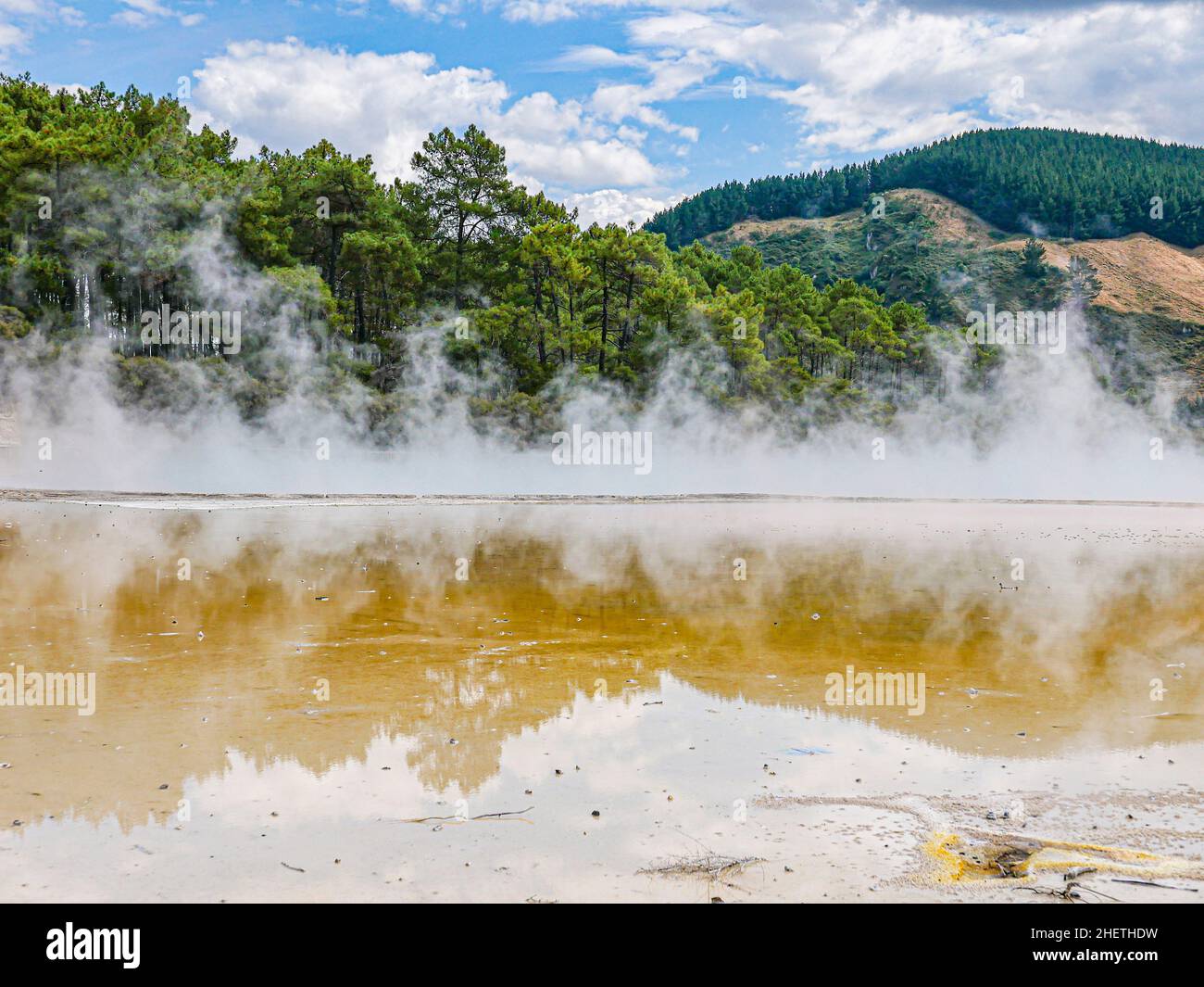 scenic Hot springs lake in Rotorua, New Zealand Stock Photo - Alamy