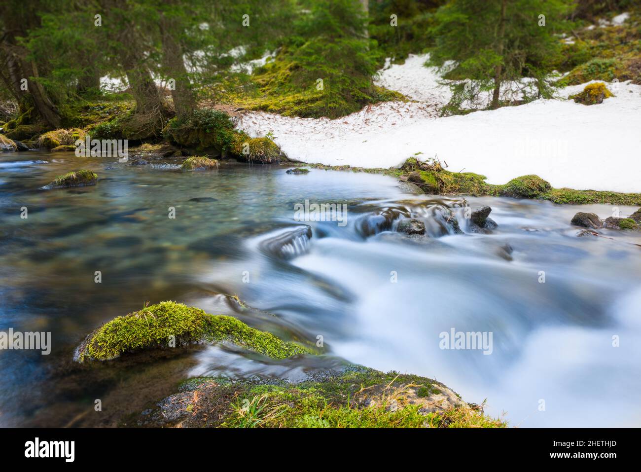 rural river with motion of flowing water over moss and rocks in forest ...