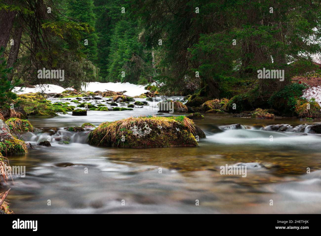 Stream with trees and grass hi-res stock photography and images - Alamy