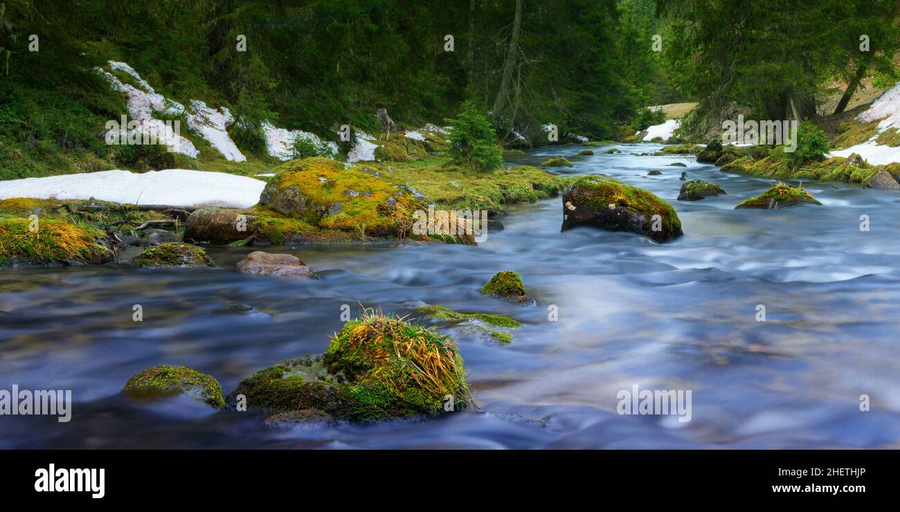 flowing blue water of river across green spring nature and rocks Stock ...