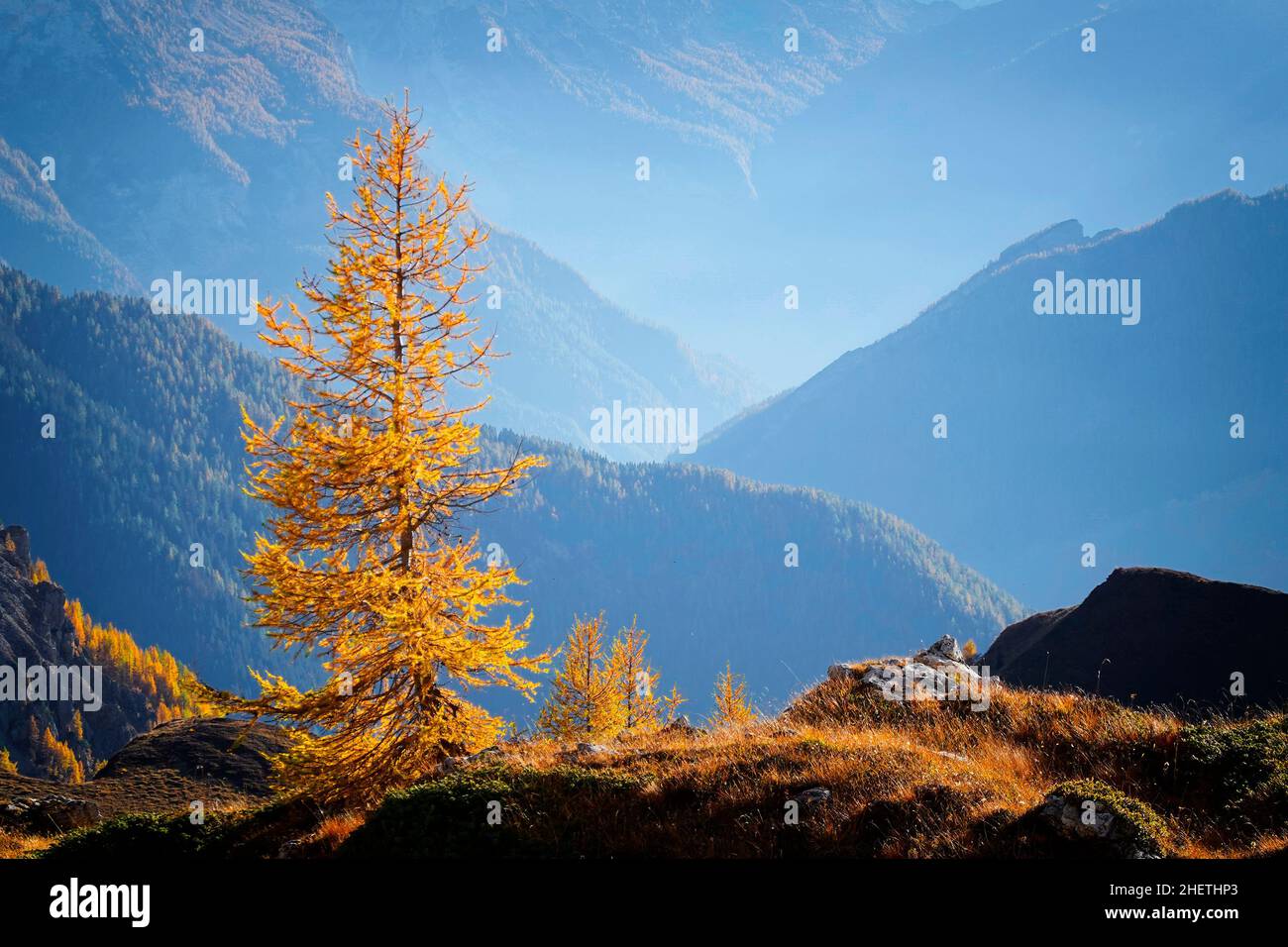 Alpine landscape in the Dolomites, Italy, Europe Stock Photo - Alamy