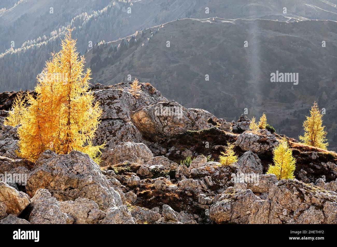Alpine landscape in the Dolomites, Italy, Europe Stock Photo - Alamy
