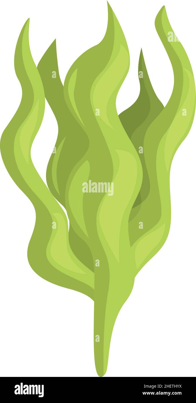 Sea algae icon cartoon vector. Alga plant. Seaweed food Stock Vector ...