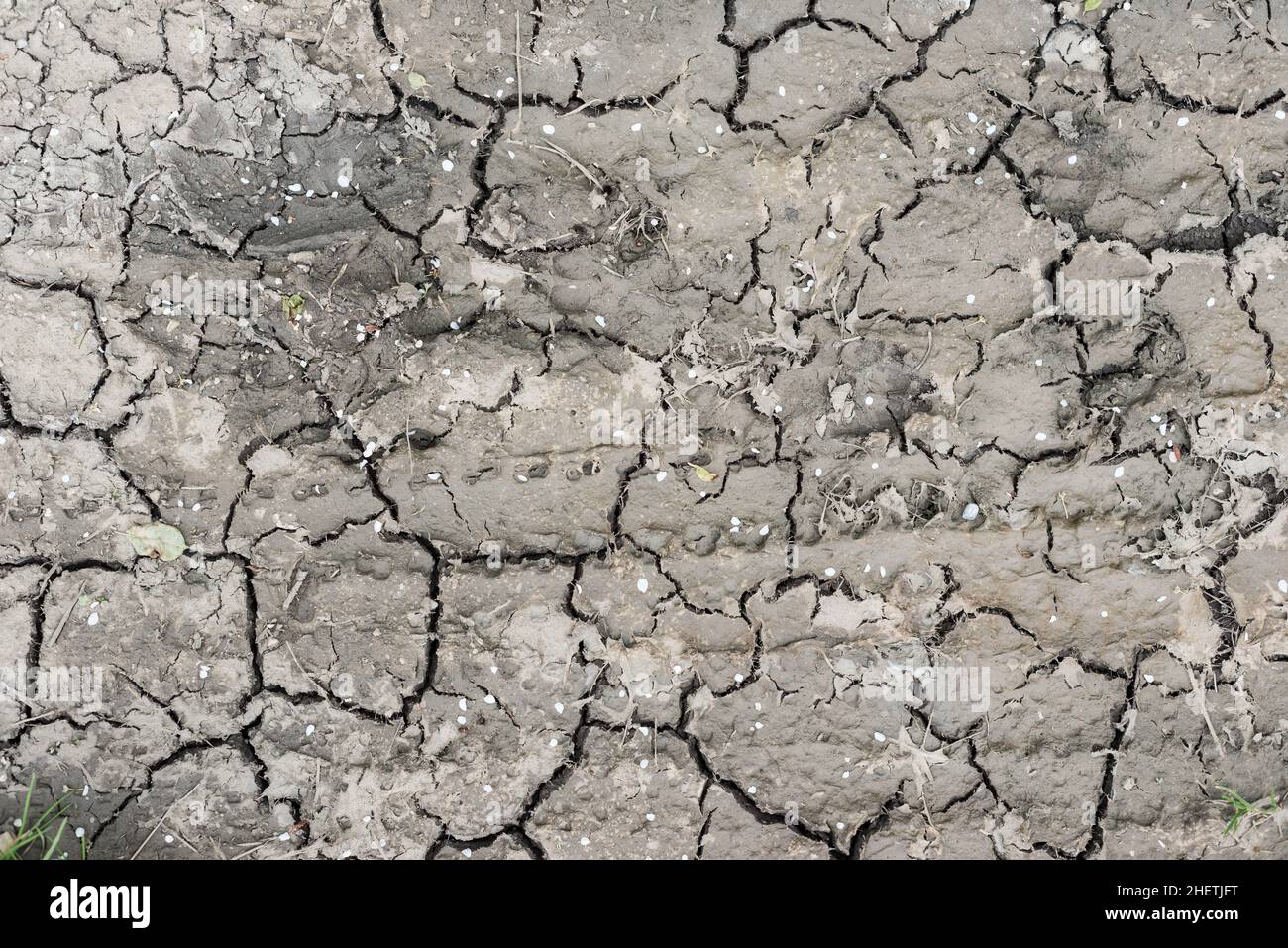 dry rusty earth bottom at waterless summer texture background Stock ...