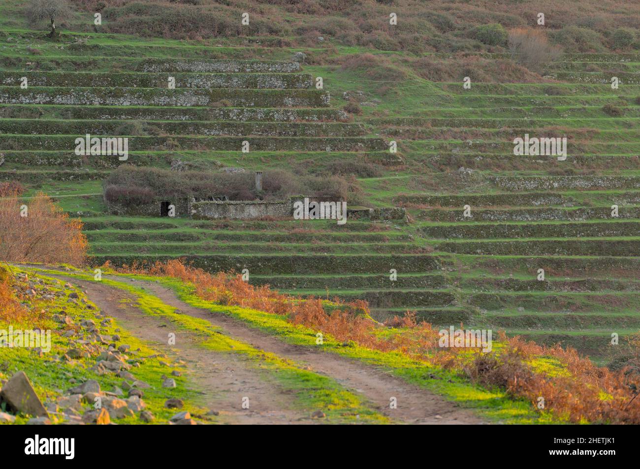 Old farm fields in Monchique mountains. Algarve, Portugal Stock Photo ...
