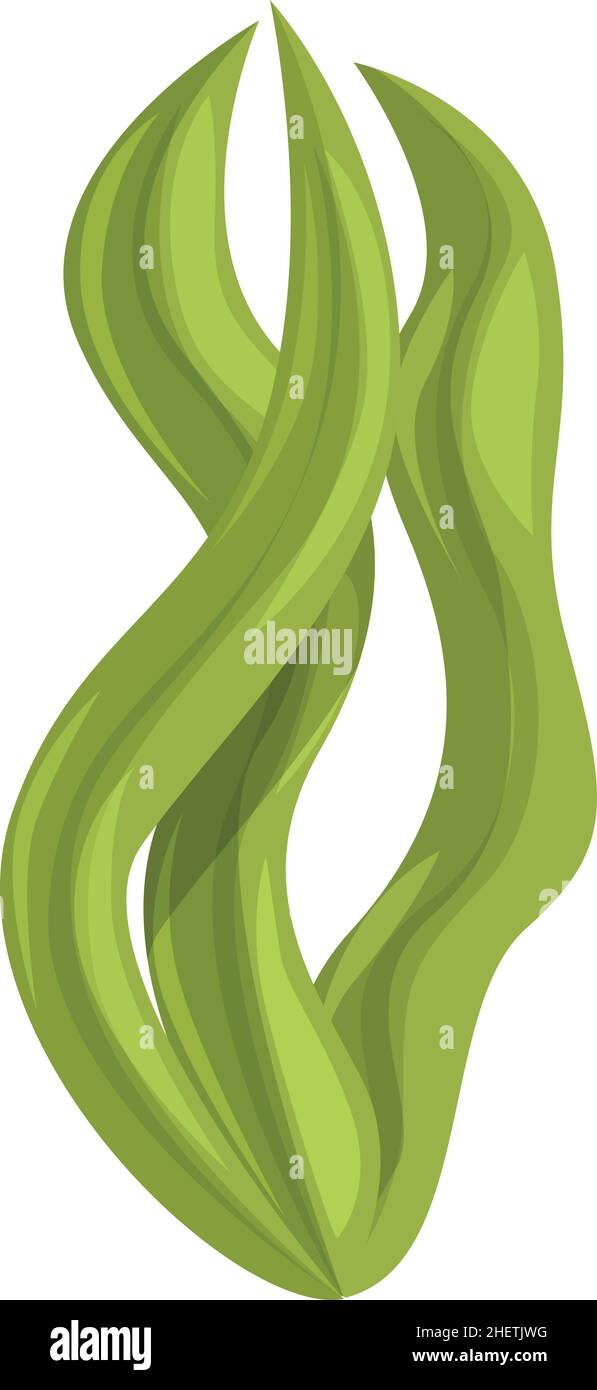 Algae and cyanobacteria Cut Out Stock Images & Pictures - Alamy