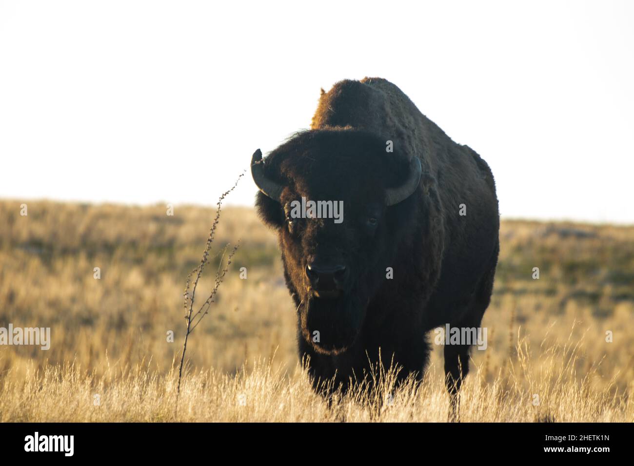 Nat geo photo hi-res stock photography and images - Alamy