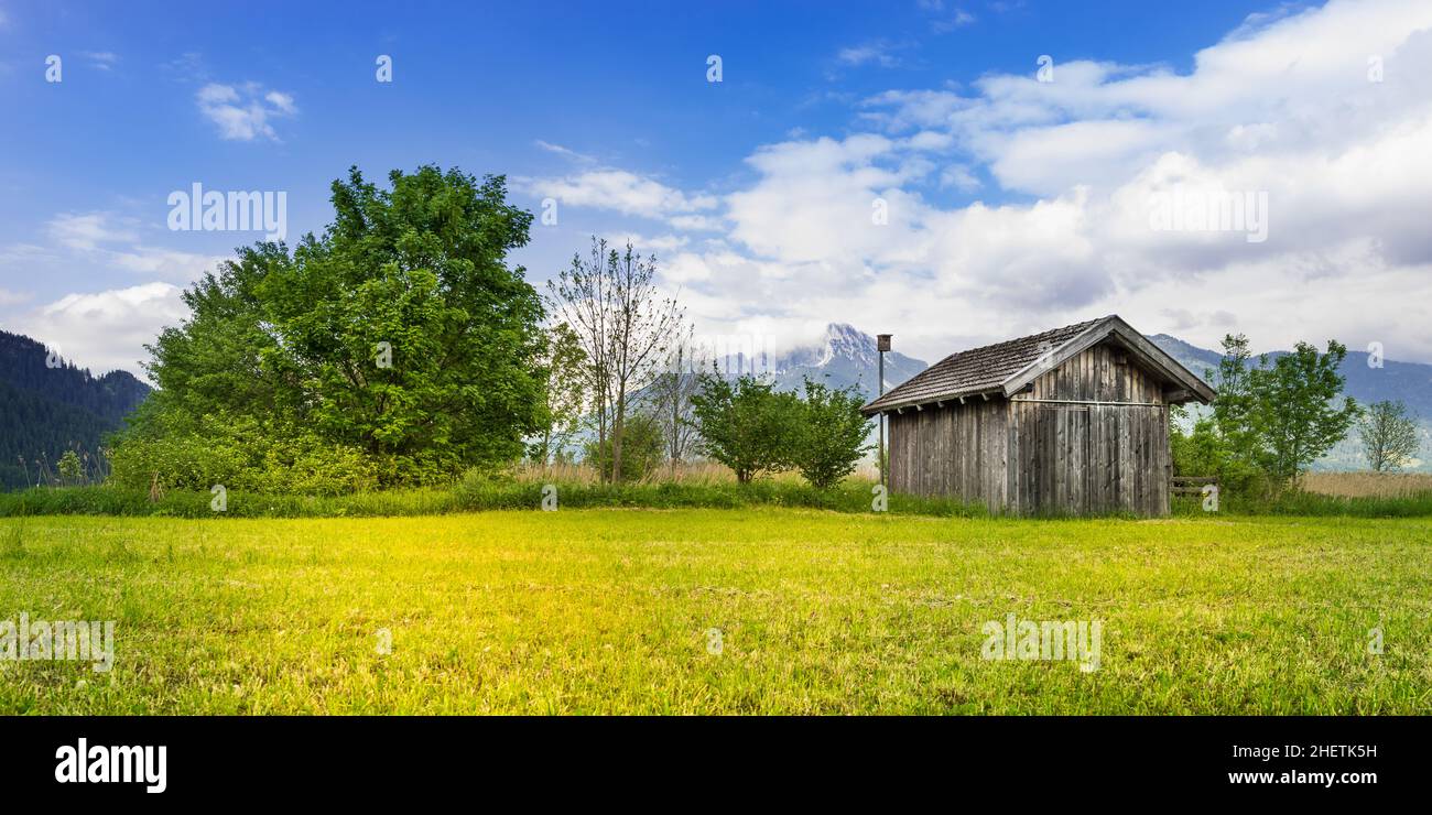 Trees next to farm hi-res stock photography and images - Alamy