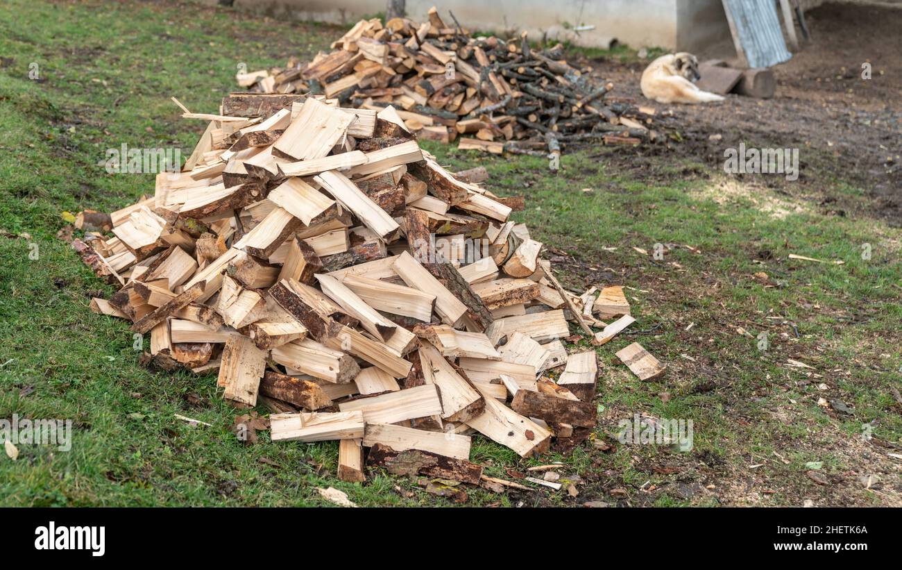 Cut wood logs stored in a storage yard. This woodpile are chopped and ...