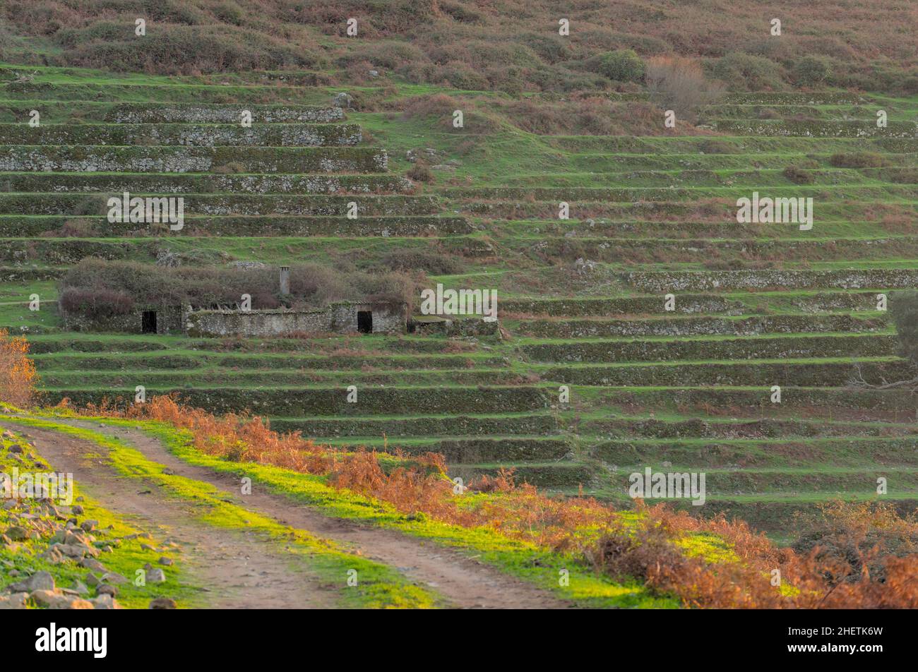 Old farm fields in Monchique mountains. Algarve, Portugal Stock Photo ...