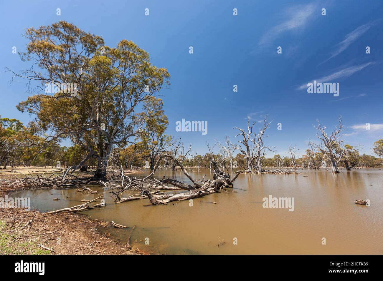 Landscape at Poochers Swamp in the Poocher Swamp Game Reserve near ...