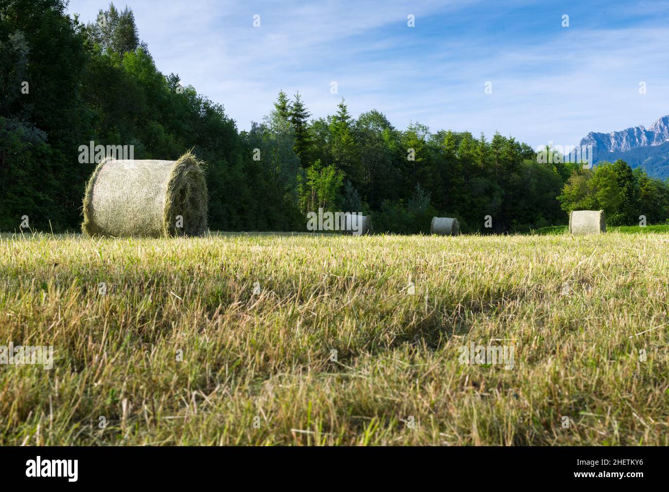 Compressed grass hi-res stock photography and images - Alamy