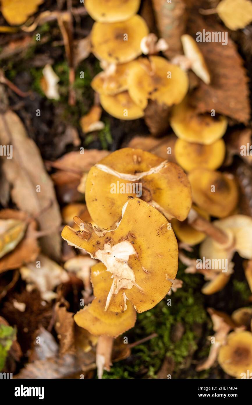 Choas, abstract patterns and textures in nature and the environment ...