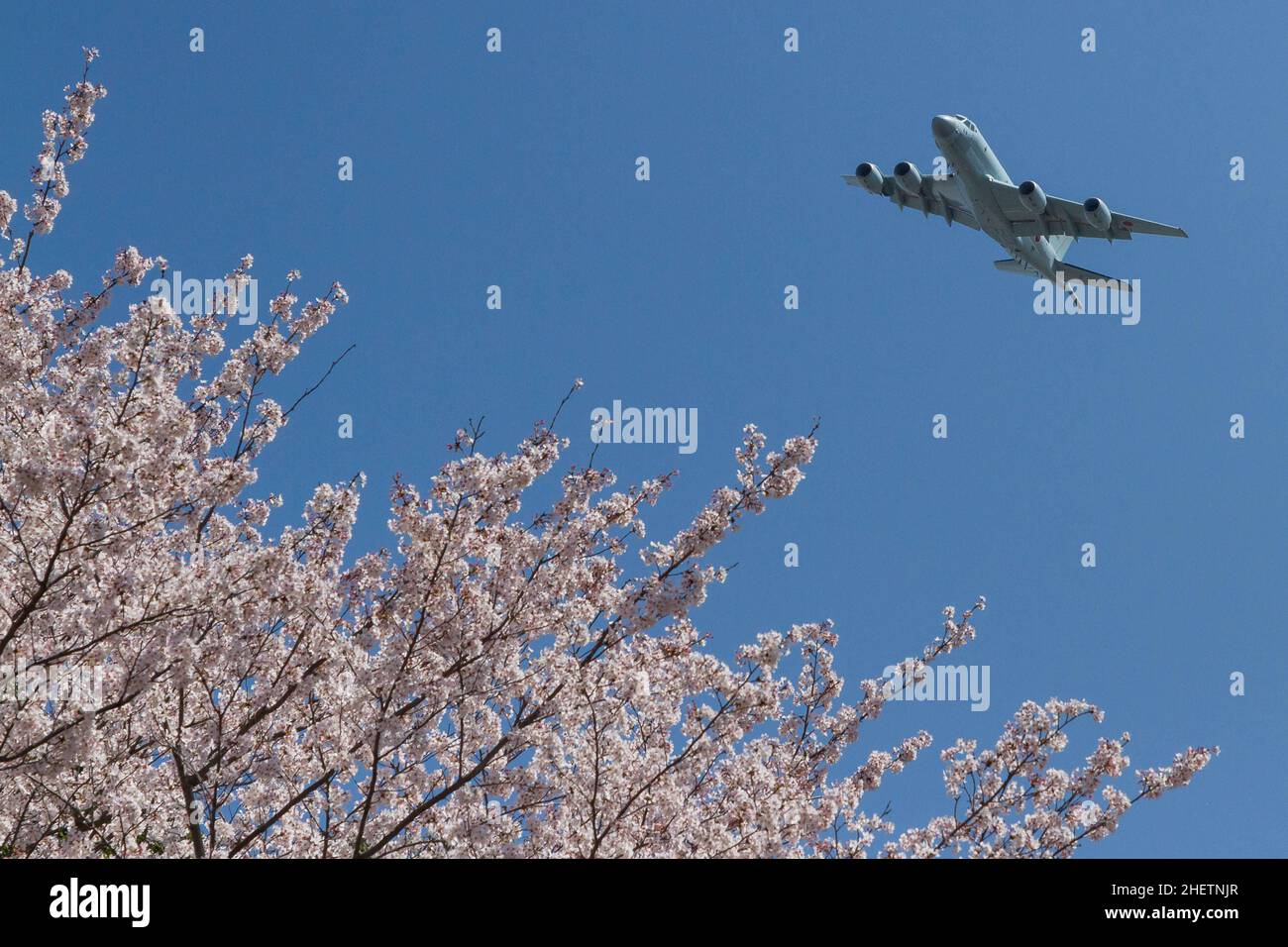 A Kawasaki P1 Maritime patrol aircraft with the Japanese Maritime Self ...