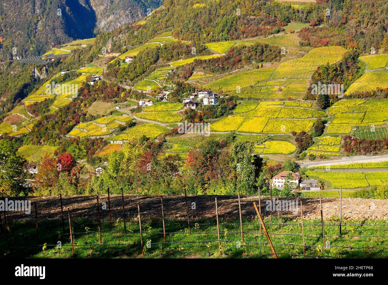 Aerial view of the vineyards of Brenner Pass, Italy, Europe Stock Photo ...