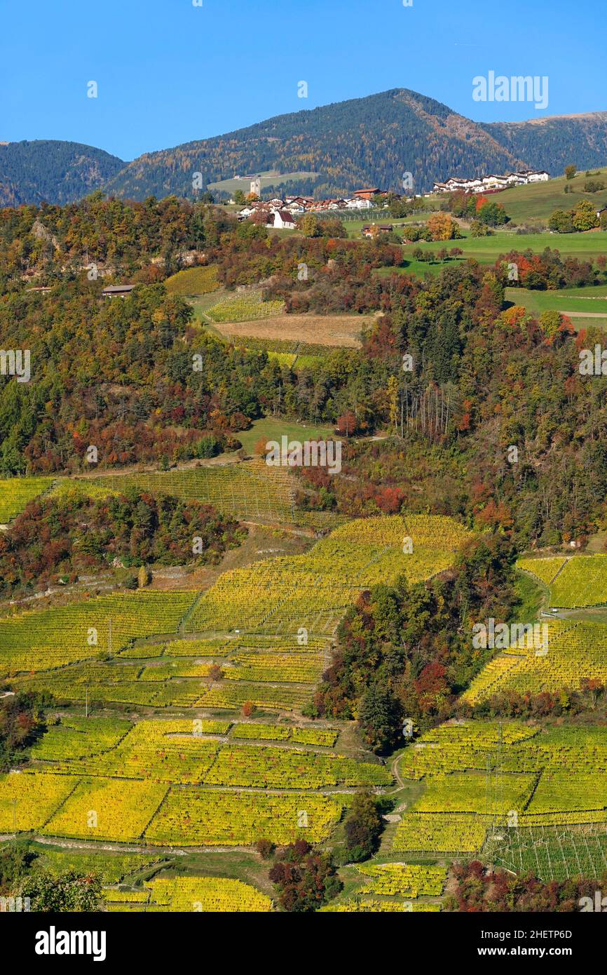 Aerial view of the vineyards of Brenner Pass, Italy, Europe Stock Photo ...