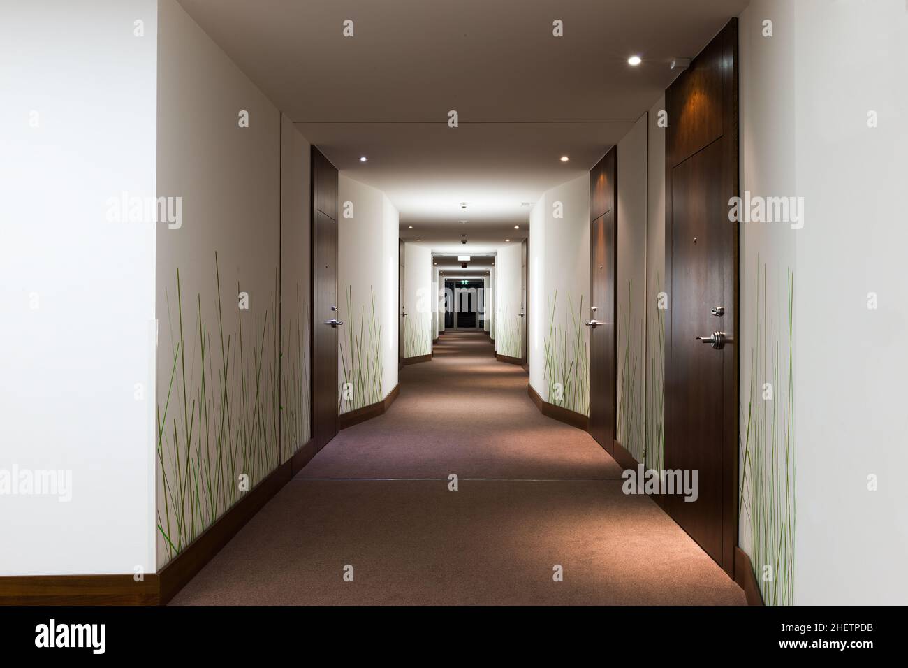 long hotel corridor with doors and green grass wallpaper Stock Photo ...