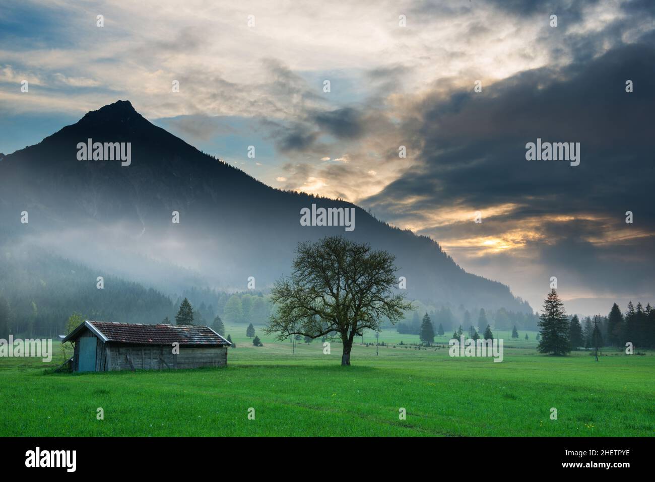 old wooden hut with single tree at dramatic tyrol sunset Stock Photo ...