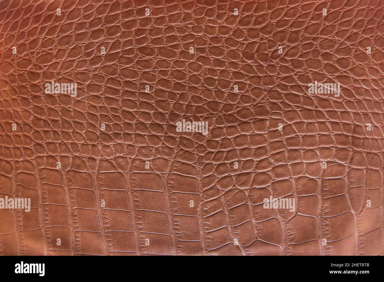 Natural skin texture hi-res stock photography and images - Alamy