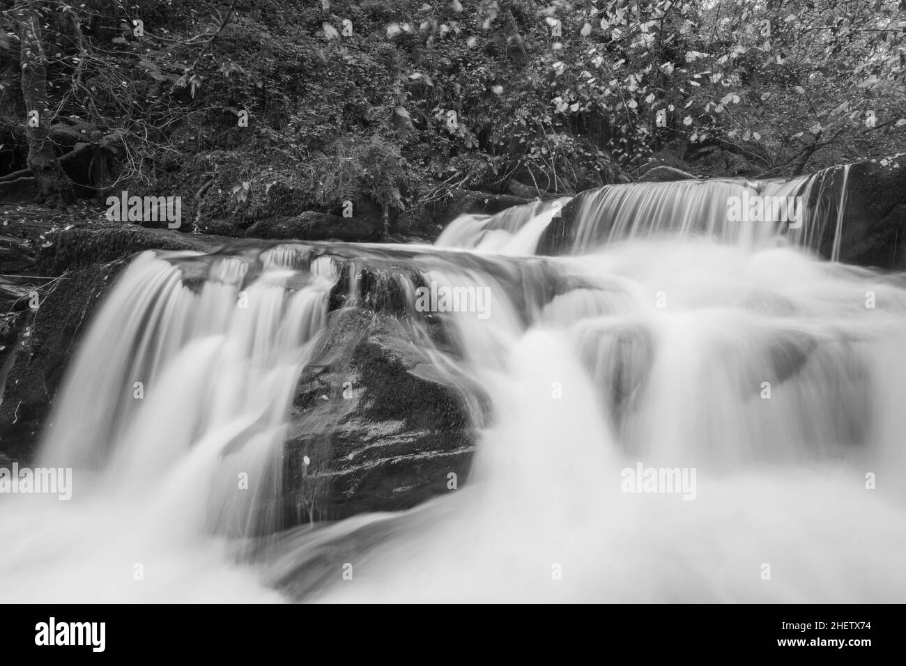 Black and white photo of a waterfall on the Hoar Oak Water river at ...