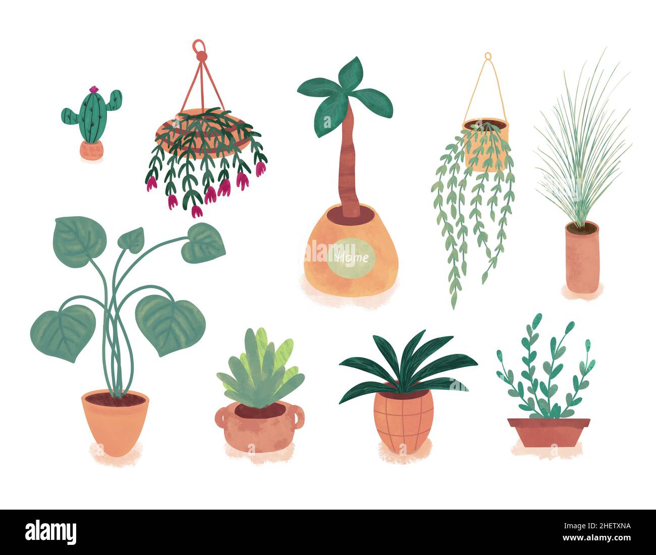 indoor potted decorative house plants for interior home or office ...